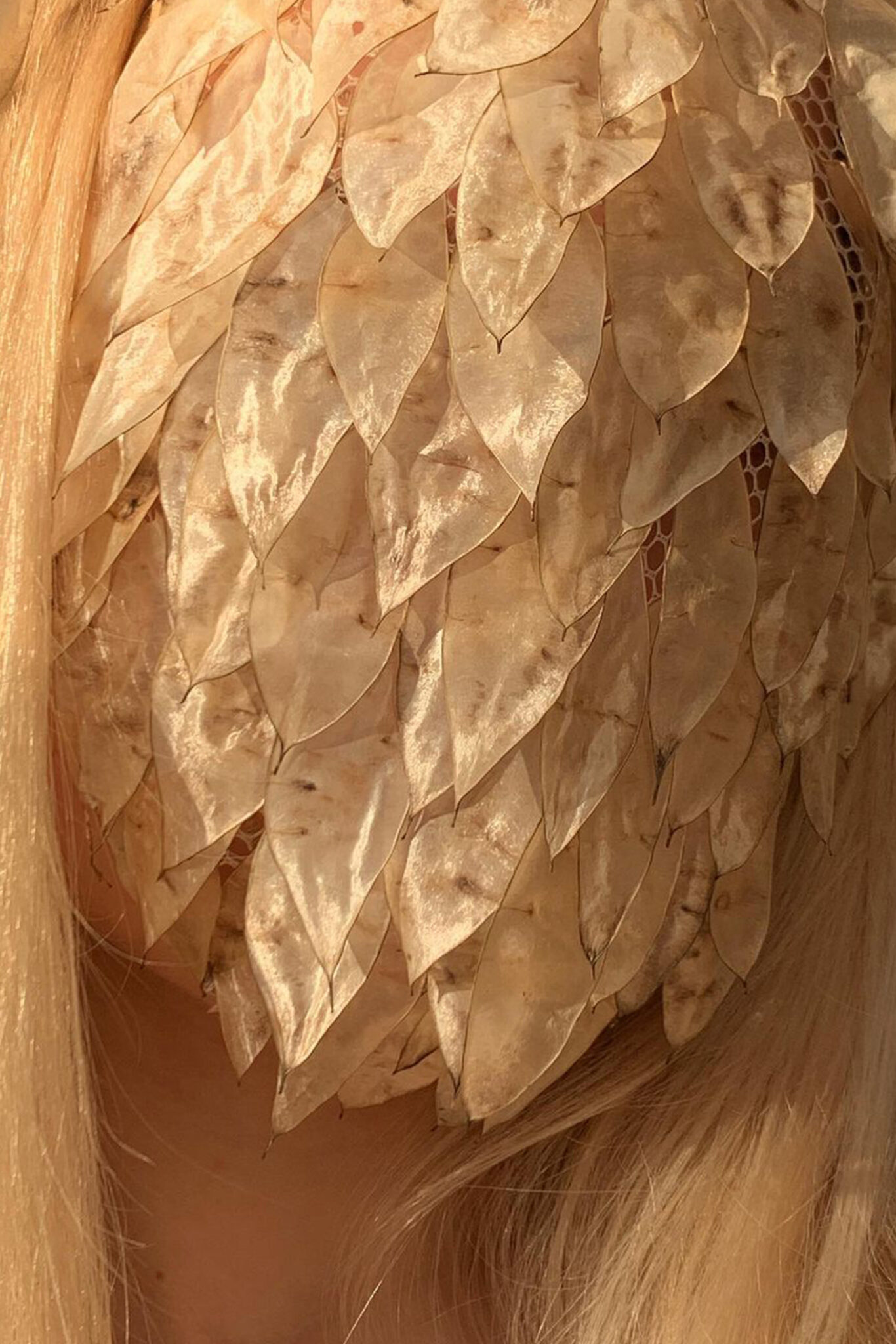 The Flower Surrealist | Maria Luneva – Planted