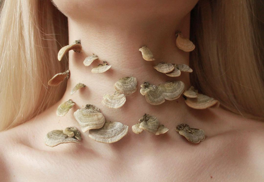 The Flower Surrealist | Maria Luneva – Planted