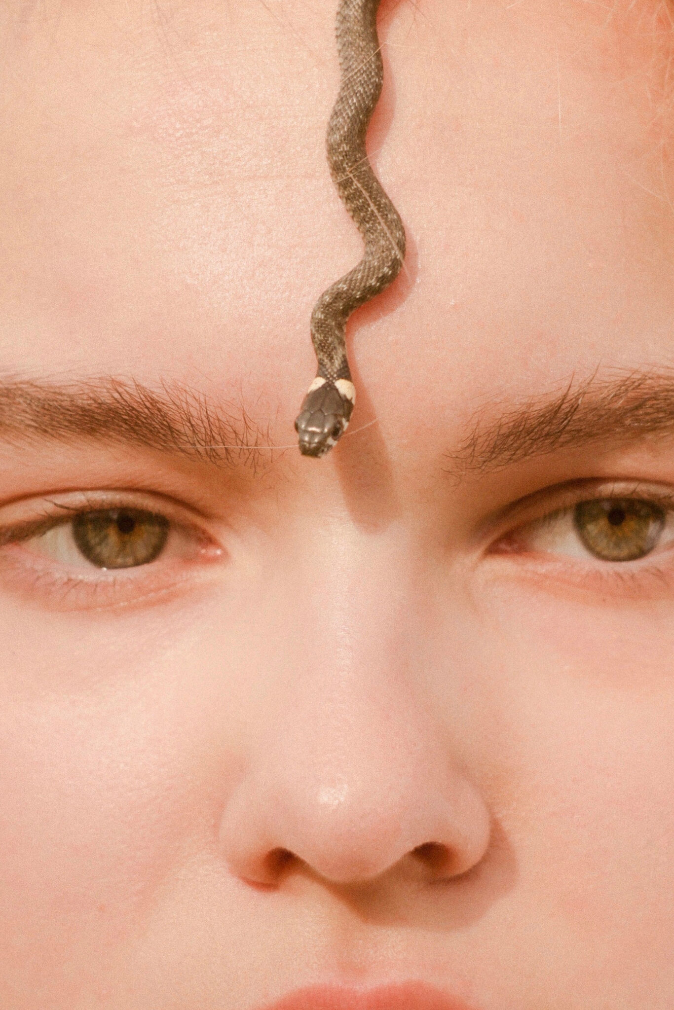 The Flower Surrealist | Maria Luneva – Planted