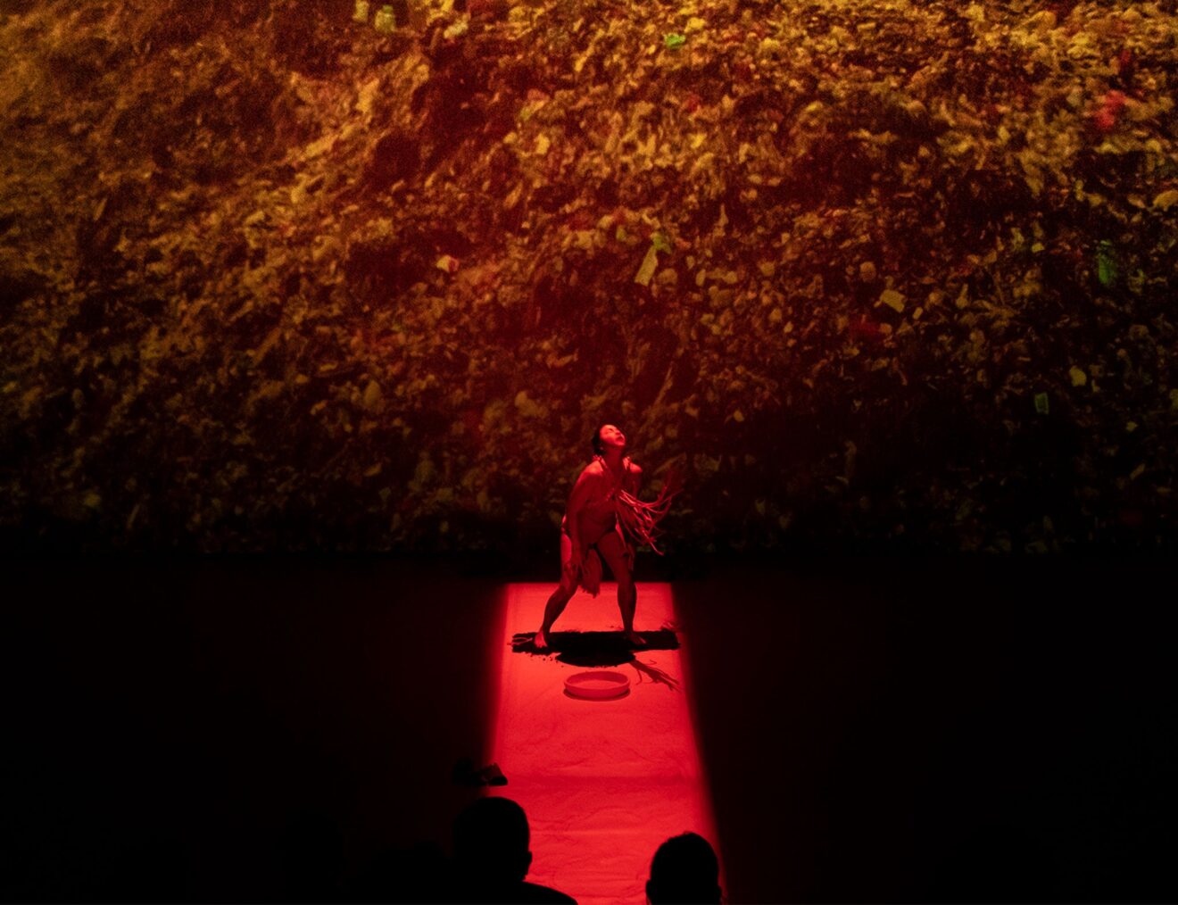 Renewal of the World: Movement & Rituals for Decolonisation | Martha ...