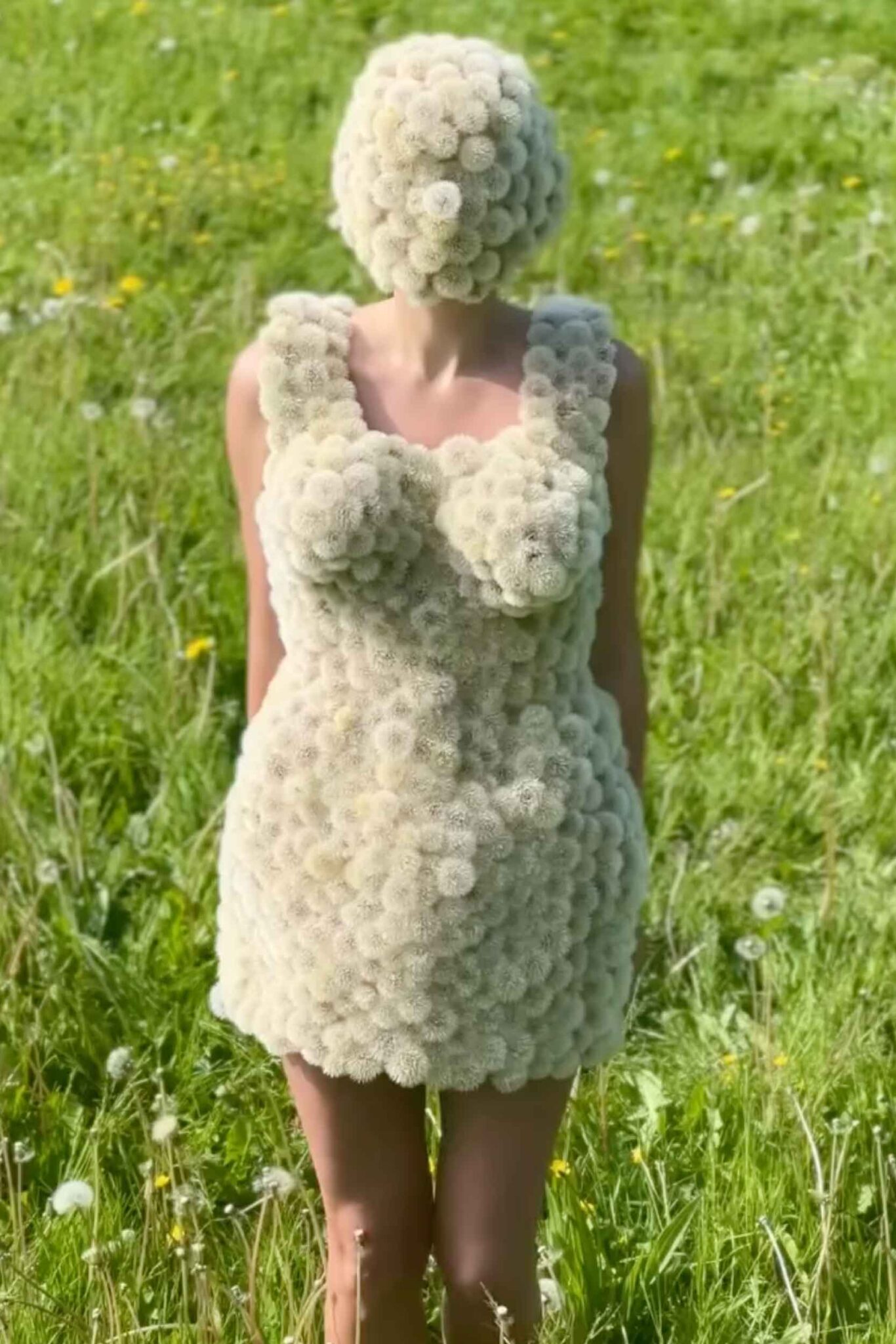 Organic Art: Blurring the Boundaries Between Identity and Nature | Olana Light – Planted